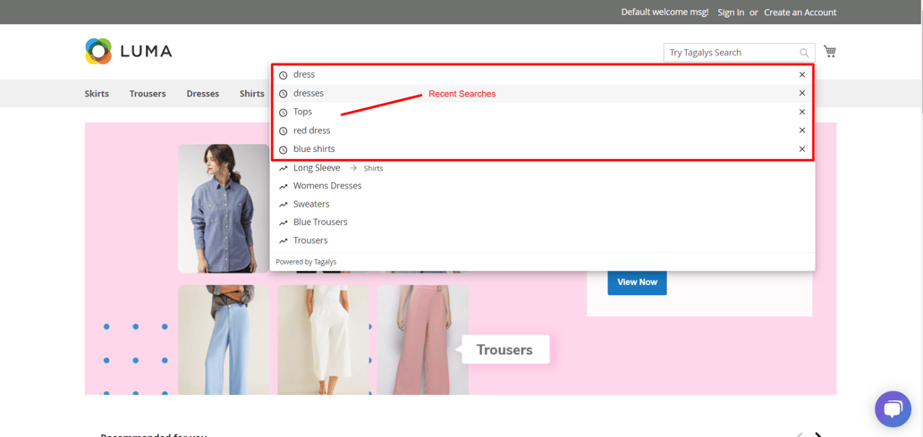 What are 'Recent Searches'?